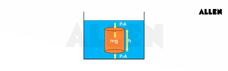 Pressure in Fluids: Definition, Types & FAQs